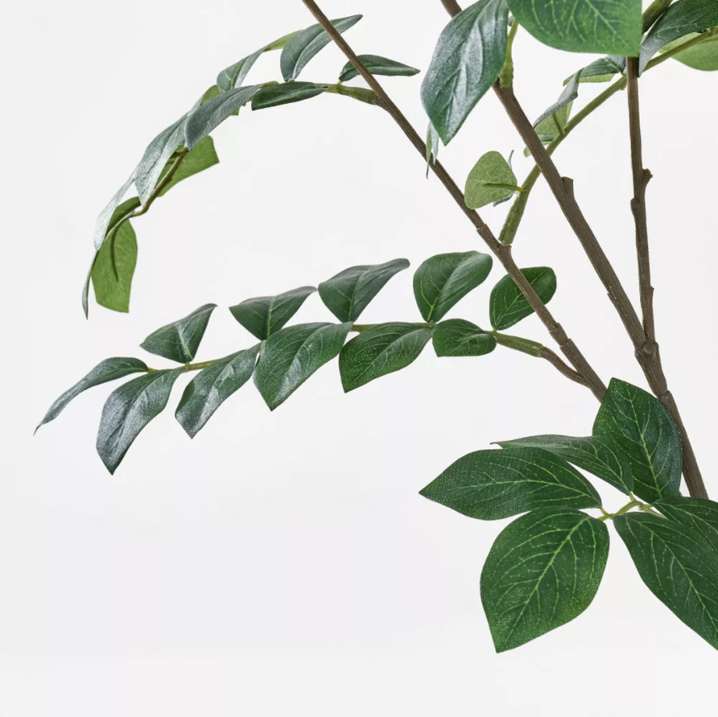 Moringa Tree - Violet Vintage Rentals