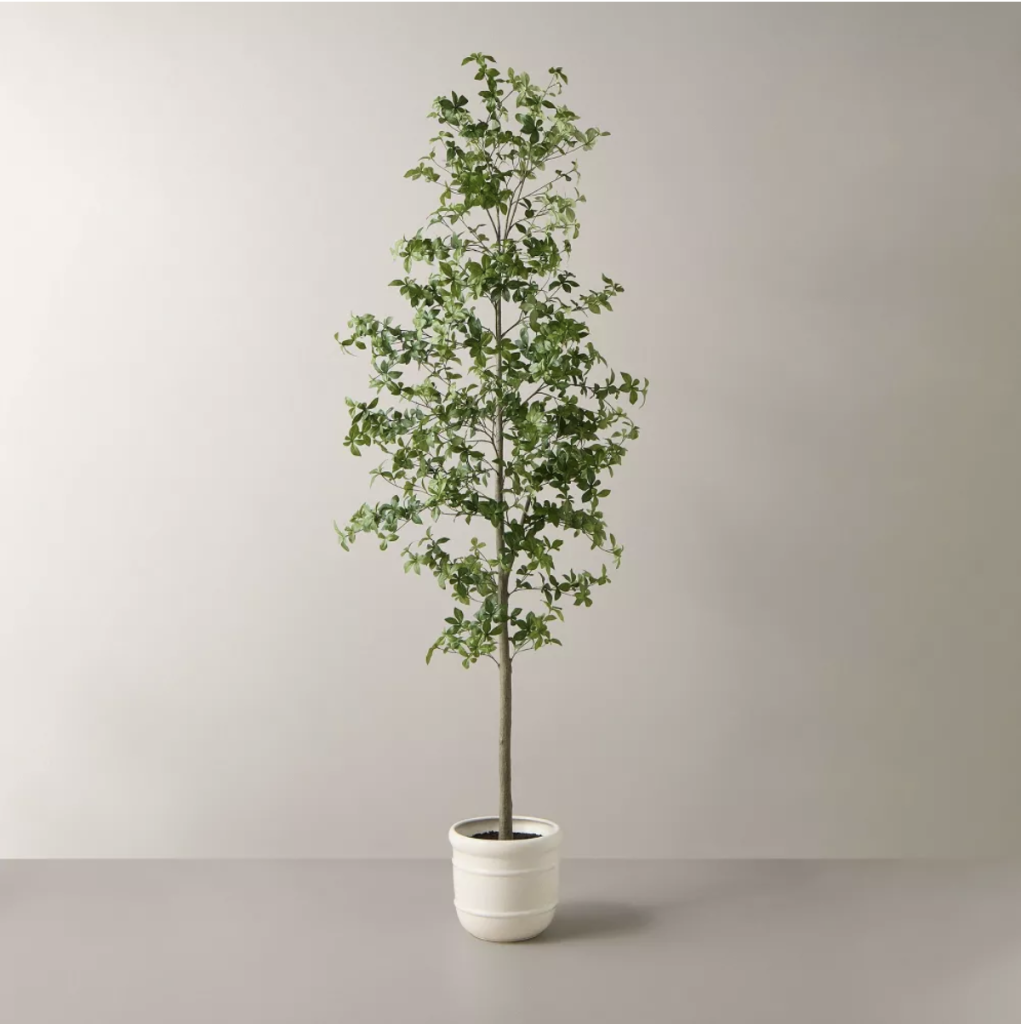 Gypsophila Leaf Tree - Violet Vintage Rentals